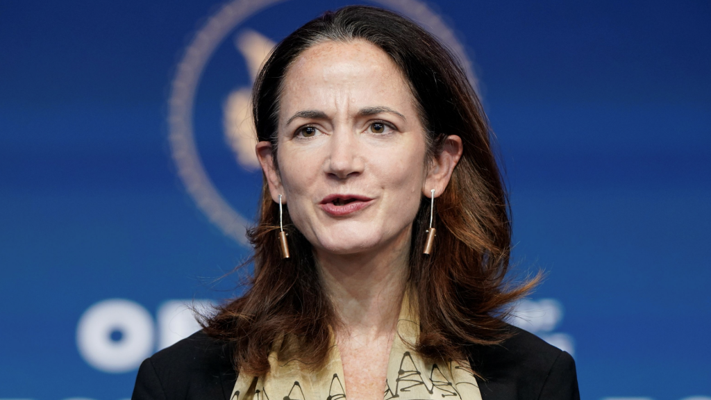 Avril Haines, Director National Intelligence-Designate - Israel Behind ...